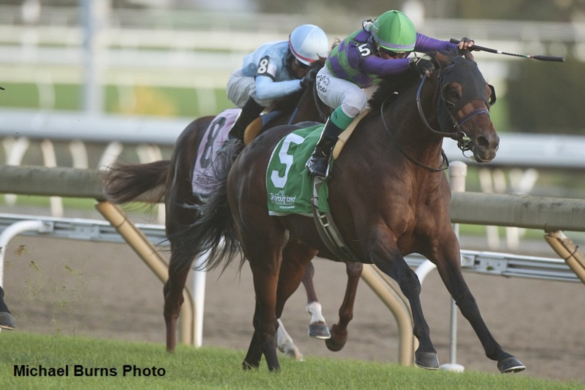 Avie's Flatter Returns to Winner's Circle In Nearctic Stakes At ...