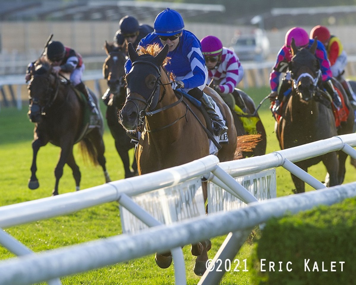 Yibir Punches Ticket To Breeders' Cup Turf With Win In Jockey Club ...