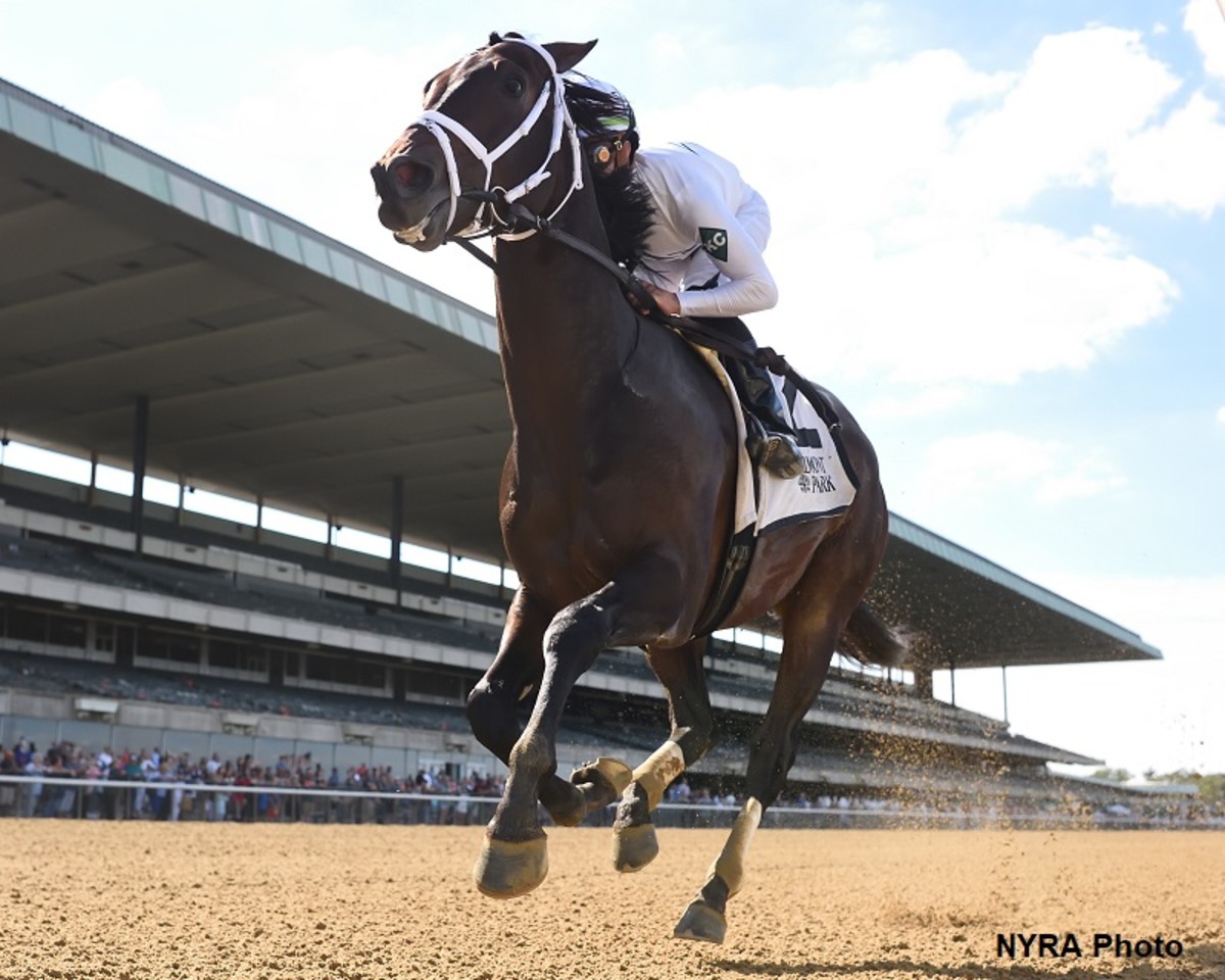 Life Is Good Gets Easy Win In Kelso At Belmont Park - Paulick Report ...