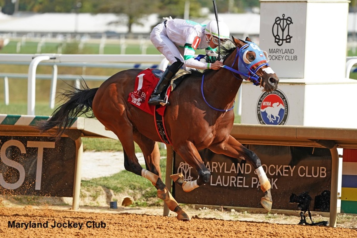 Buff Hello Wins Maryland Million Nursery At Laurel - Paulick Report ...