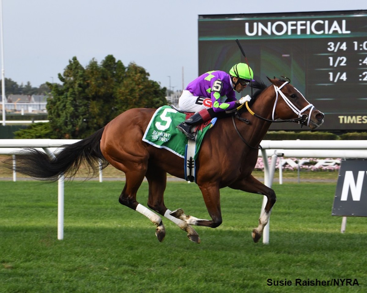 Shifty She Earns 94 Beyer Speed Figure For Noble Damsel Win - Paulick ...