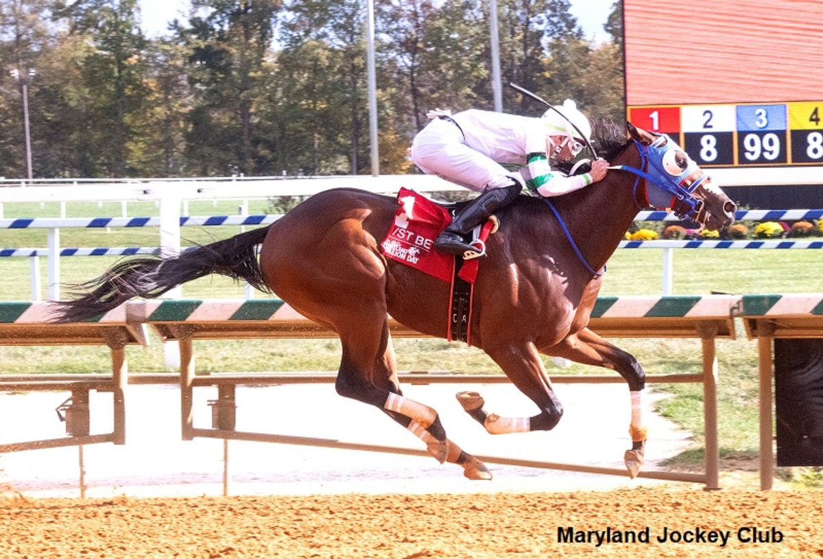 Cooke Creek, Buff Hello Lead List of James F. Lewis III Nominees ...