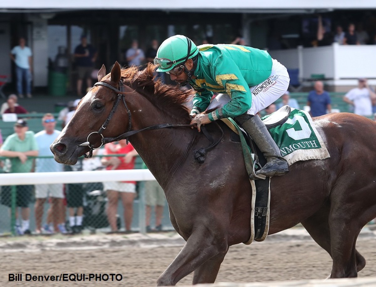 Code Of Honor To Stand At Lane's End In 2022 - Paulick Report | Latest ...