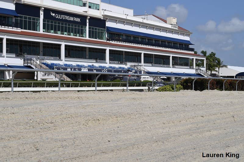 Gulfstream's New Tapeta Surface Makes It Unique Among American ...