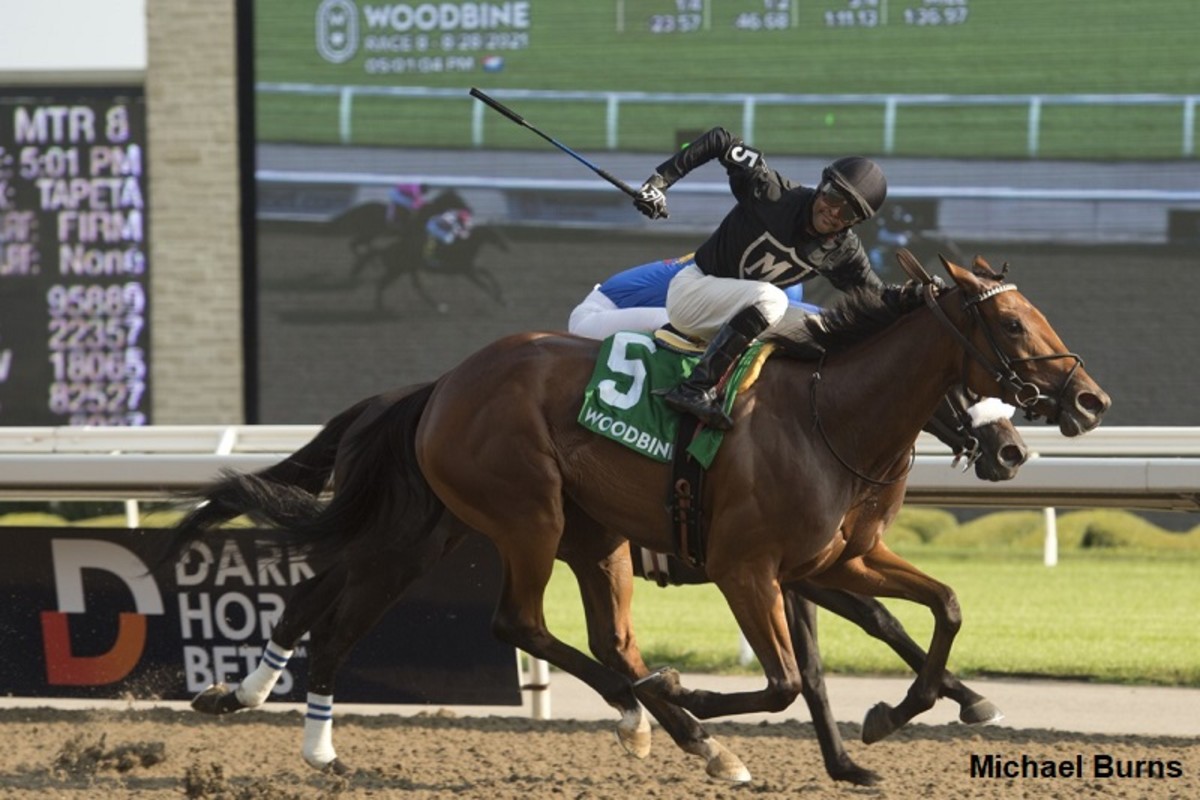 Il Malocchio Rallies To Win Bison City Stakes At Woodbine - Paulick ...
