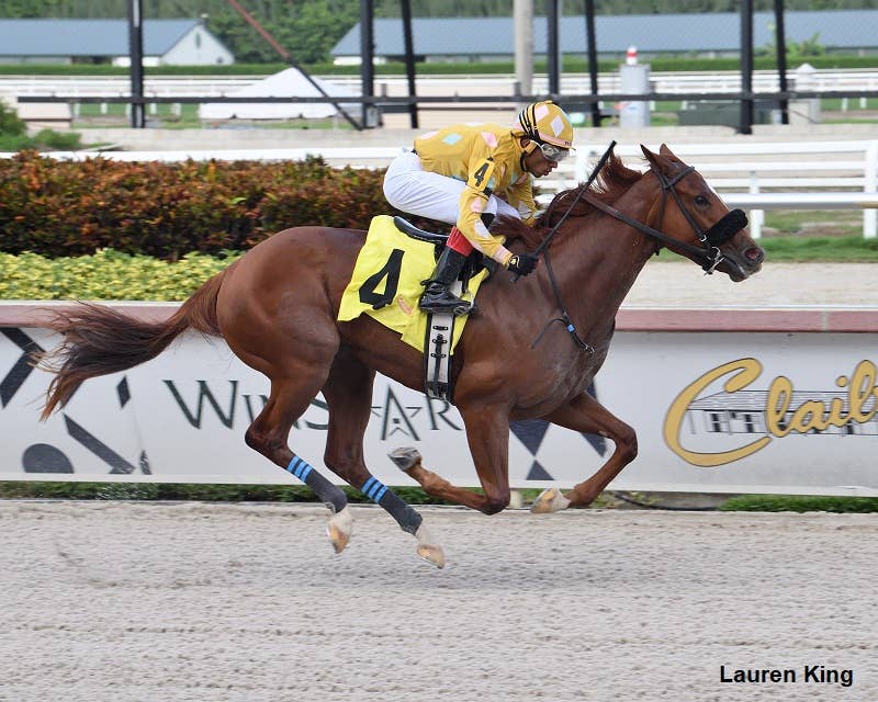 Diamond Wow Returns To Turf In Herecomesthebride - Paulick Report ...