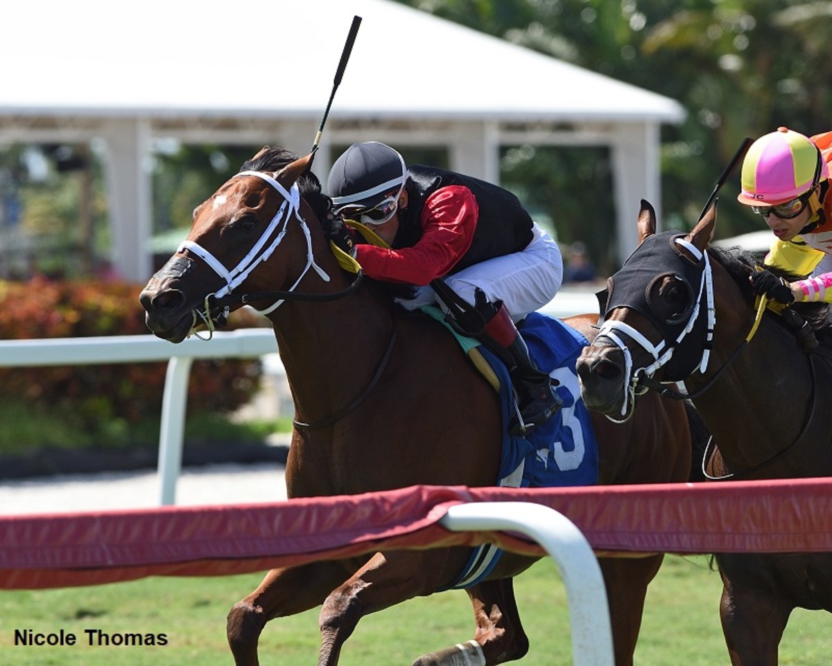 Renaisance Frolic Noses Out Max K.O. In Mr. Steele Stakes At Gulfstream ...