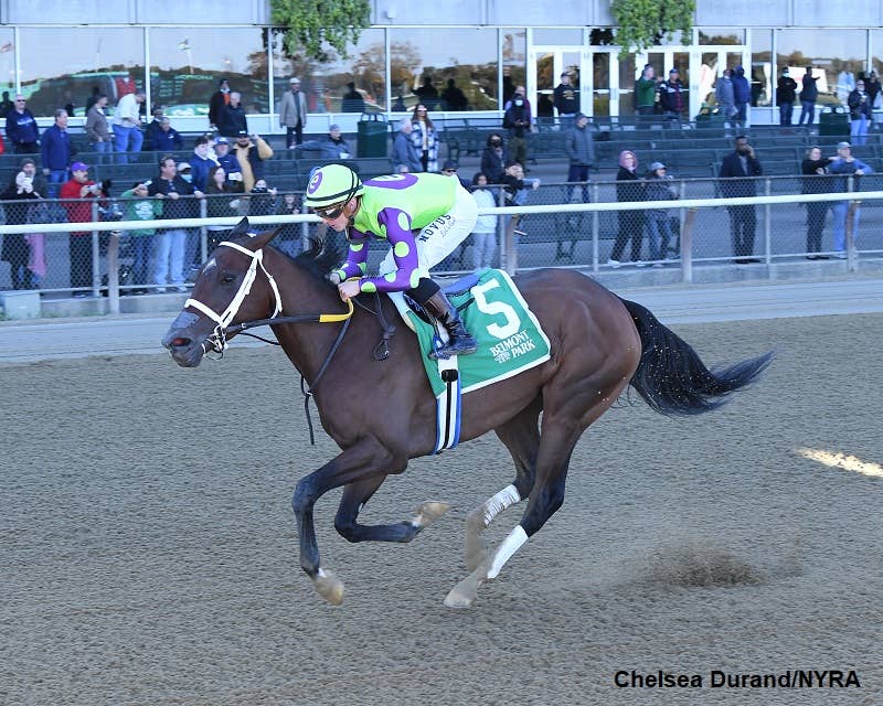 Gibberish Decisive In Turnback The Alarm At Belmont - Paulick Report ...