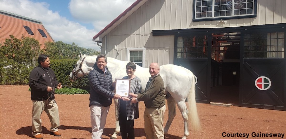 Lexington Mayor Gorton Proclaims "Tapit Day" - Paulick Report | Latest ...