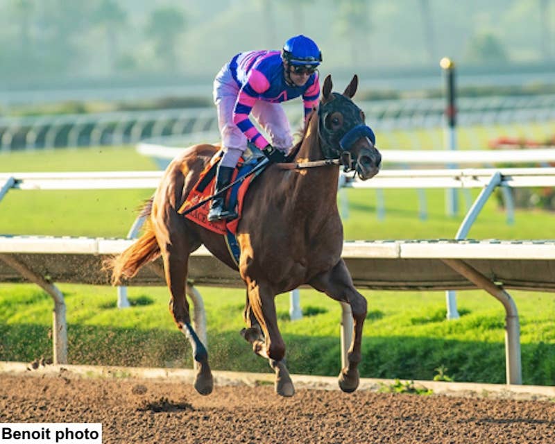 Grace Adler Crushes Debutante Foes; Liam's Dove Upsets Del Mar Juvenile ...