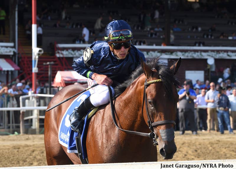 Nine-Month Layoff No Problem For Breeders' Cup Winner Golden Pal In ...
