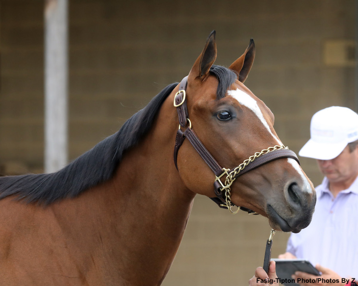 Second Time's A Charm For De Meric Sales With $625,000 Tapit Filly At ...