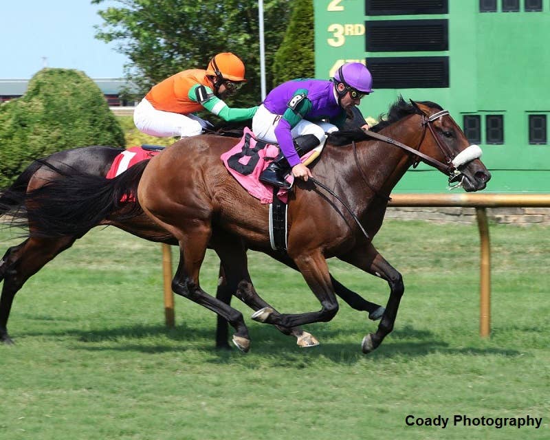 Margolis Readies She'sonthewarpath For Ladies Mile At Ellis Park ...