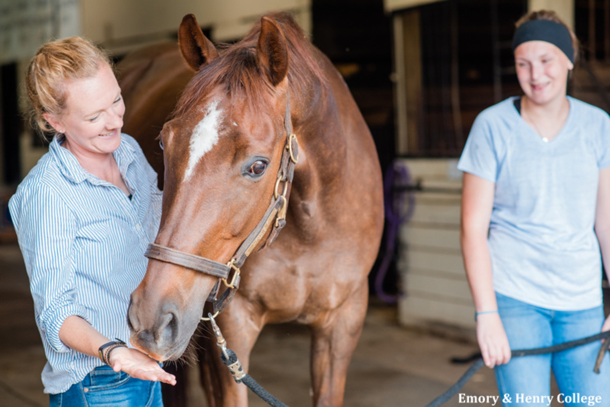 Equine Assisted Therapy Major Launched At Emory & Henry College ...