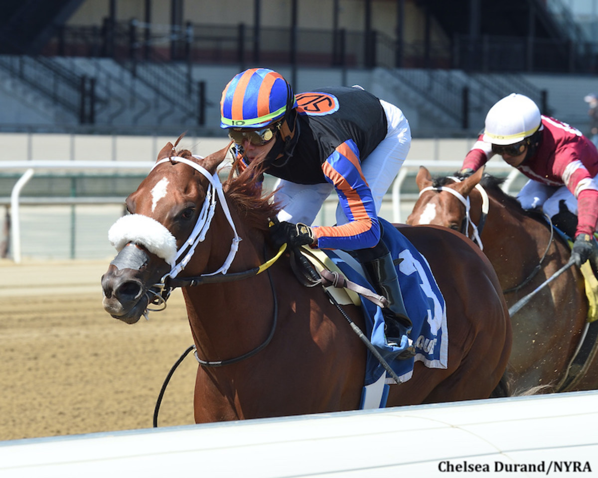 Drain The Clock May Use Gulfstream Park Sprint As Launchpad To Dubai ...