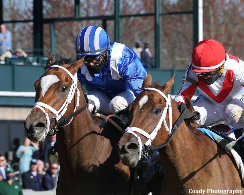 'She's A Better One-Turn Filly': Pass The Champagne Headlines Saturday ...