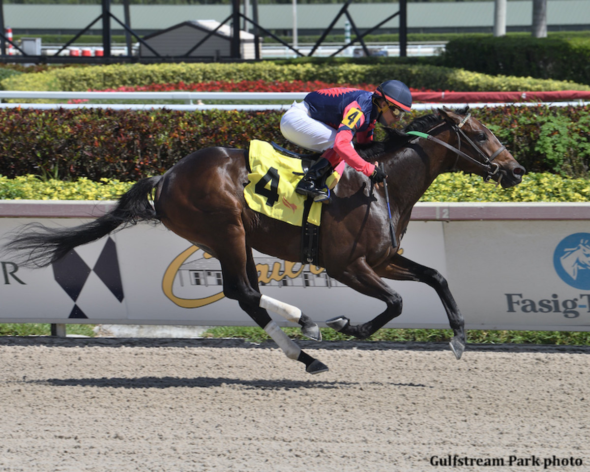 Gulfstream Park: American Prince Registers Sharp Maiden Score ...