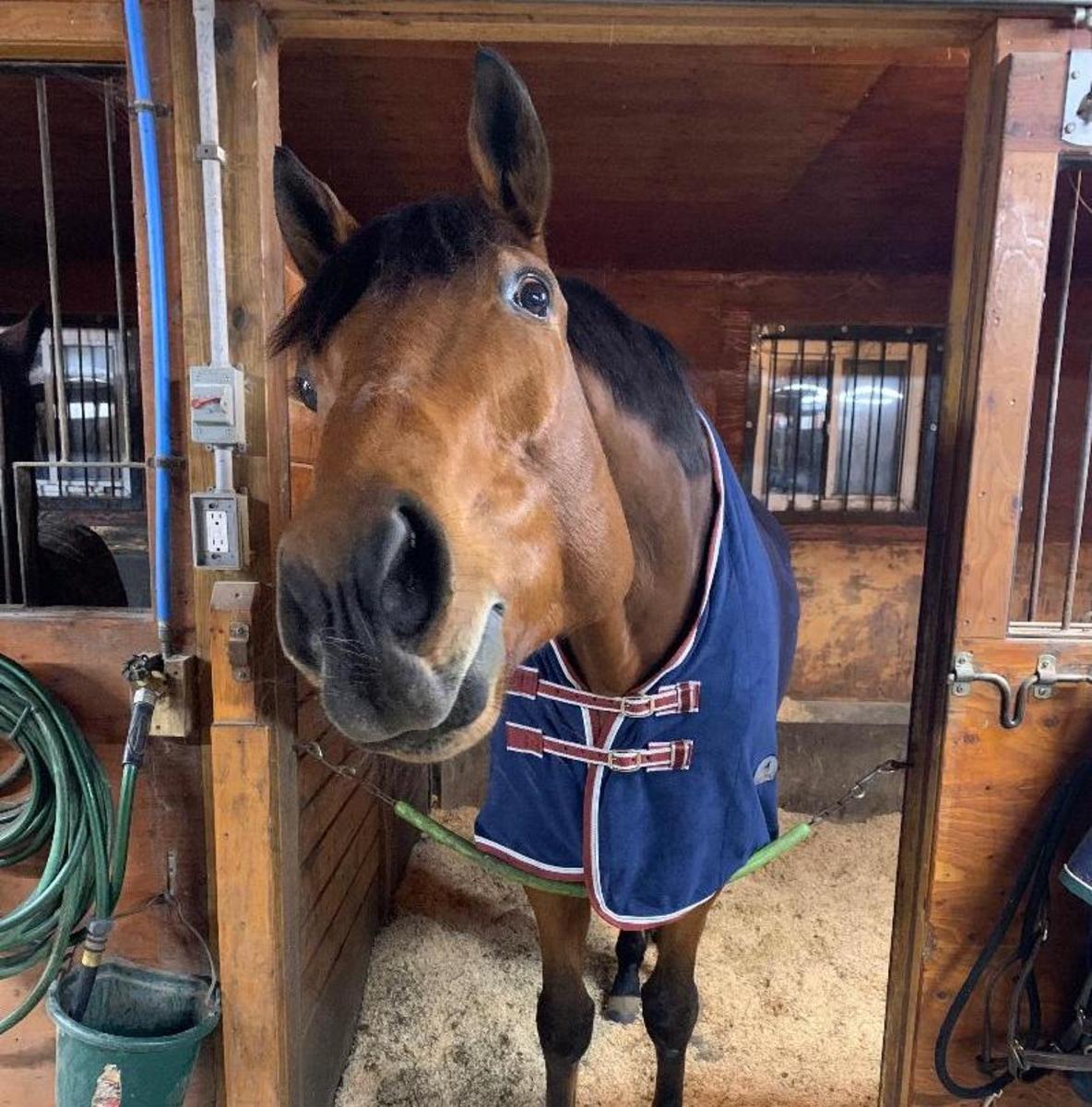 Lost And Found Presented By LubriSYNHA: Relatively Speaking, Even Non ...