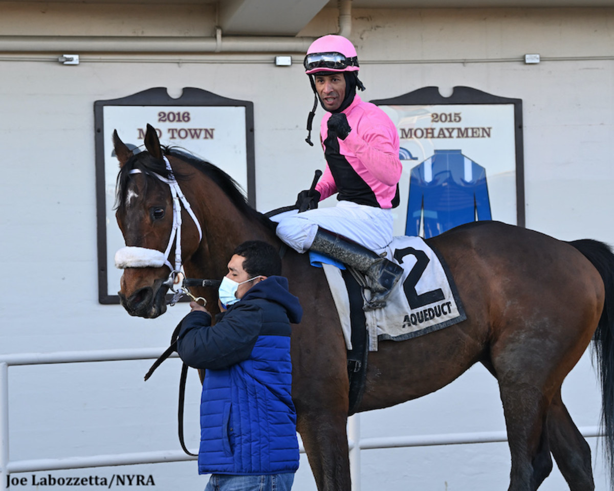 'In Best Shape Of His Life,' 7-Year-Old New York-Bred Our Last Buck ...