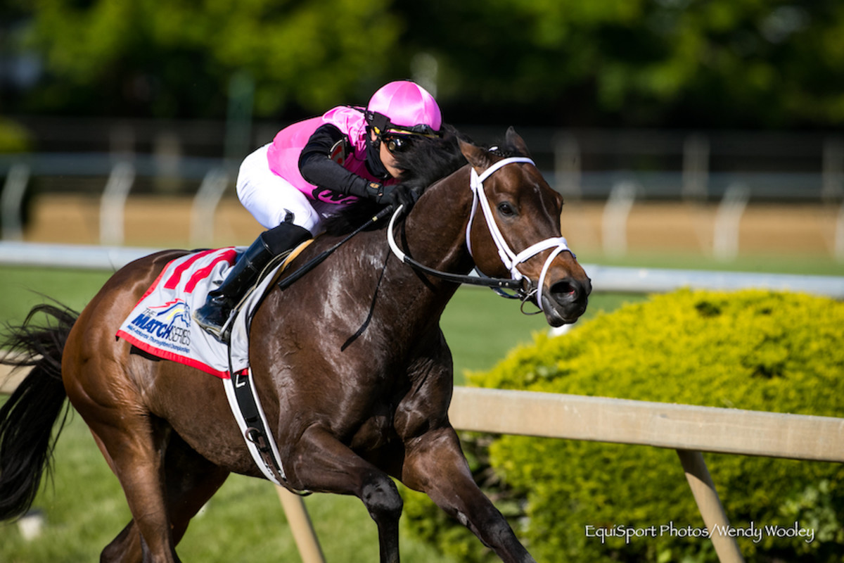 Successful Claim Last Judgment Leads Every Step Of Pimlico Special ...