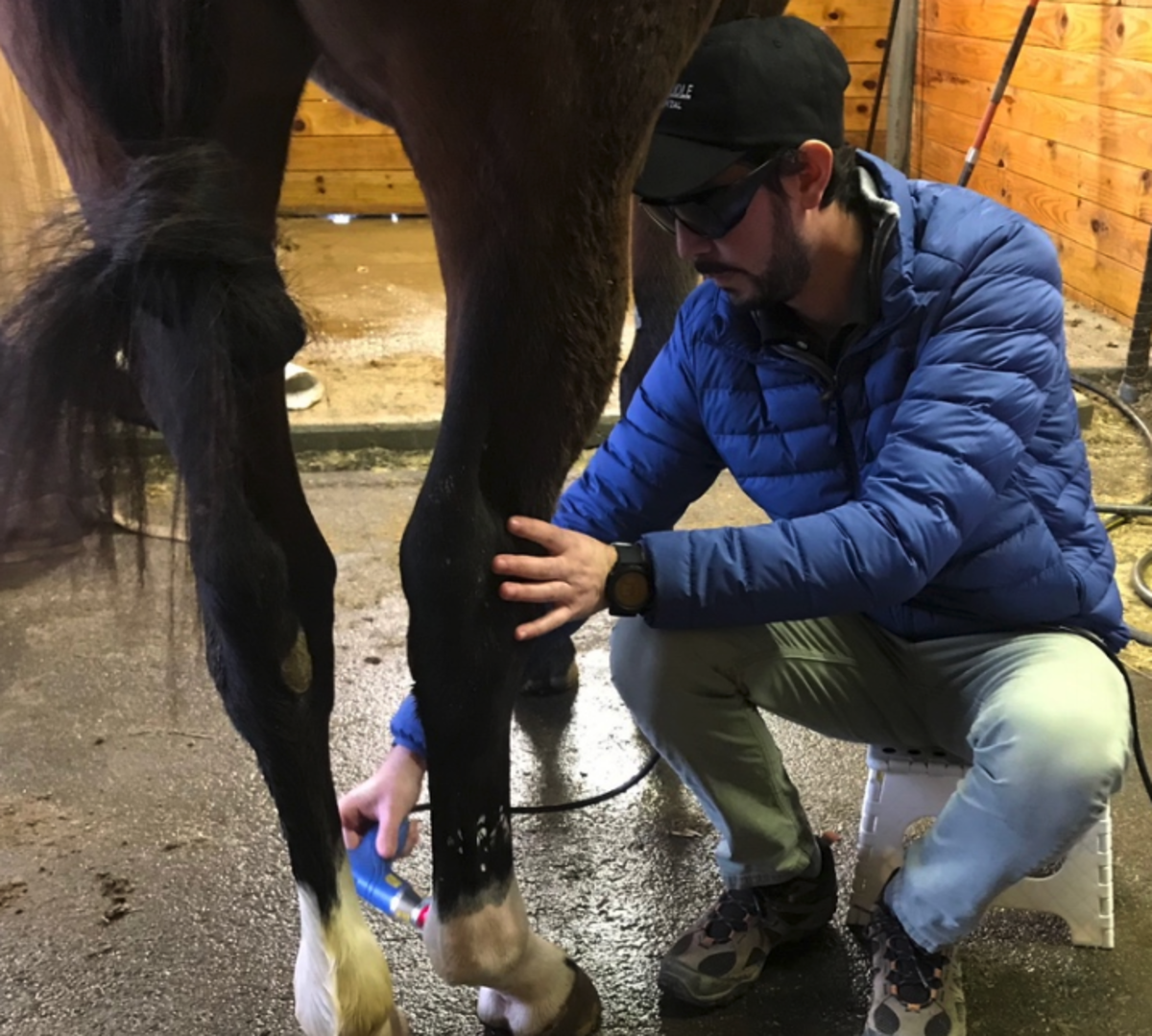 Ask Your Veterinarian Presented By Kentucky Performance Products ...