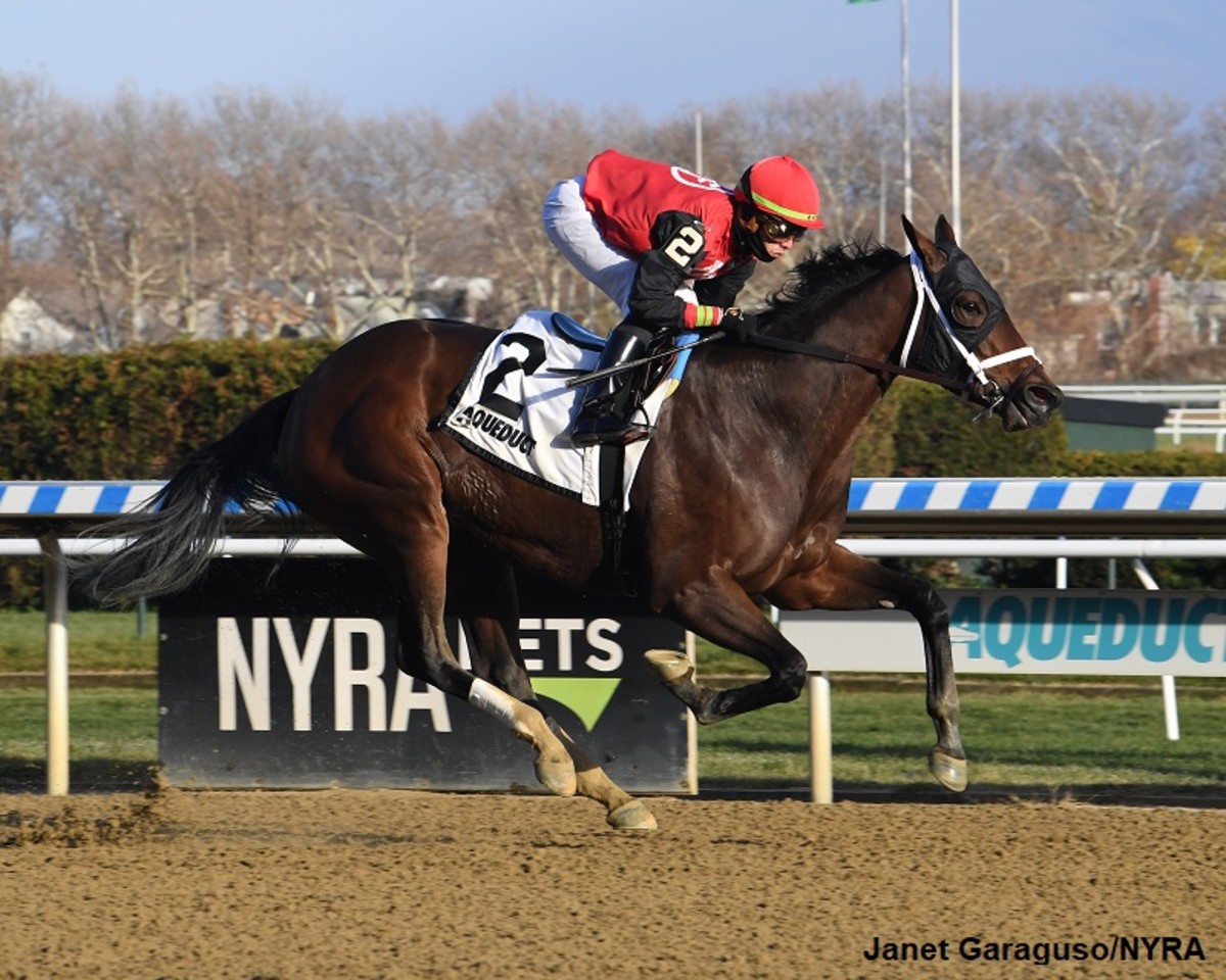 Lady Rocket Runs Away With Go For Wand, Wins First Graded Stakes ...