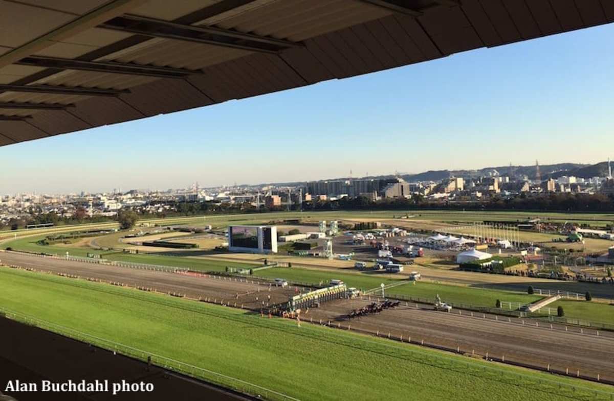 Japan Road To Kentucky Derby Begins Saturday - Paulick Report | Latest ...