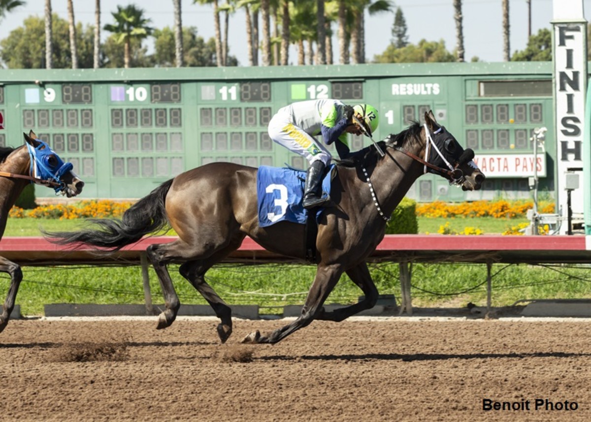 Manhattan Up Takes Los Alamitos Special, Samurai Charm Best In Dark ...