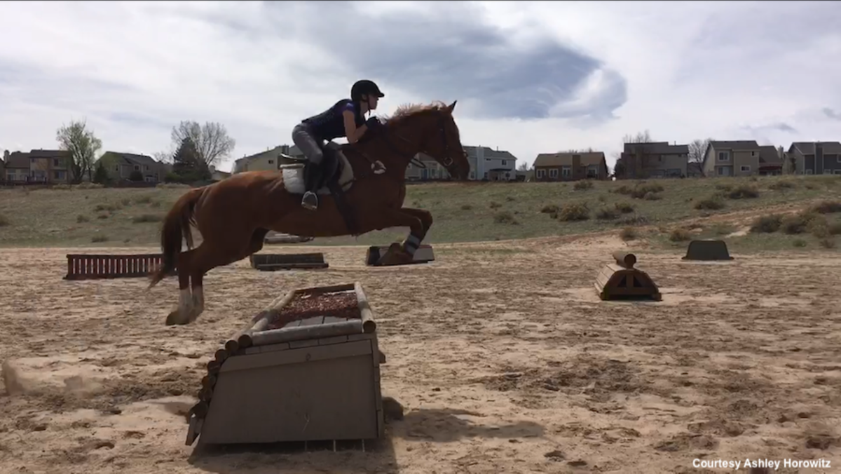 Lesson Horses Presented By John Deere Equine Discount Program: Jonathan ...