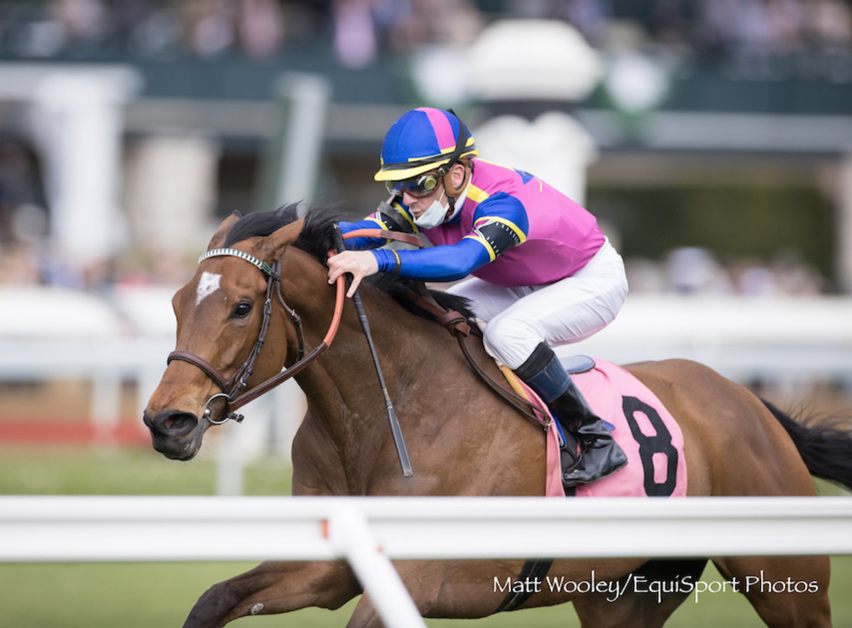 War Like Goddess Aims For Third Consecutive Bewitch Victory - Paulick ...