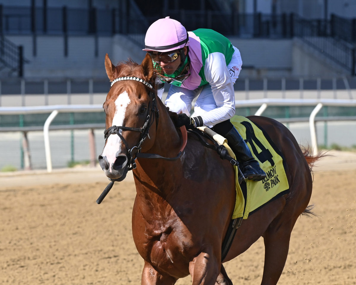 'It Came Up A Good Race For Him': Elite Power Draws Off In 'Win and You ...