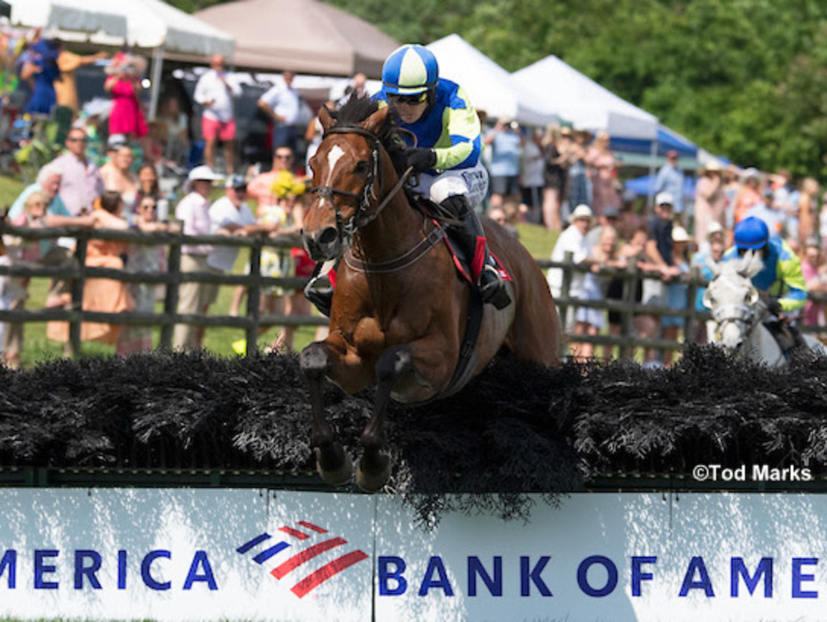 NSA: Snap Decision Reasserts His Dominance In Iroquois Steeplechase ...