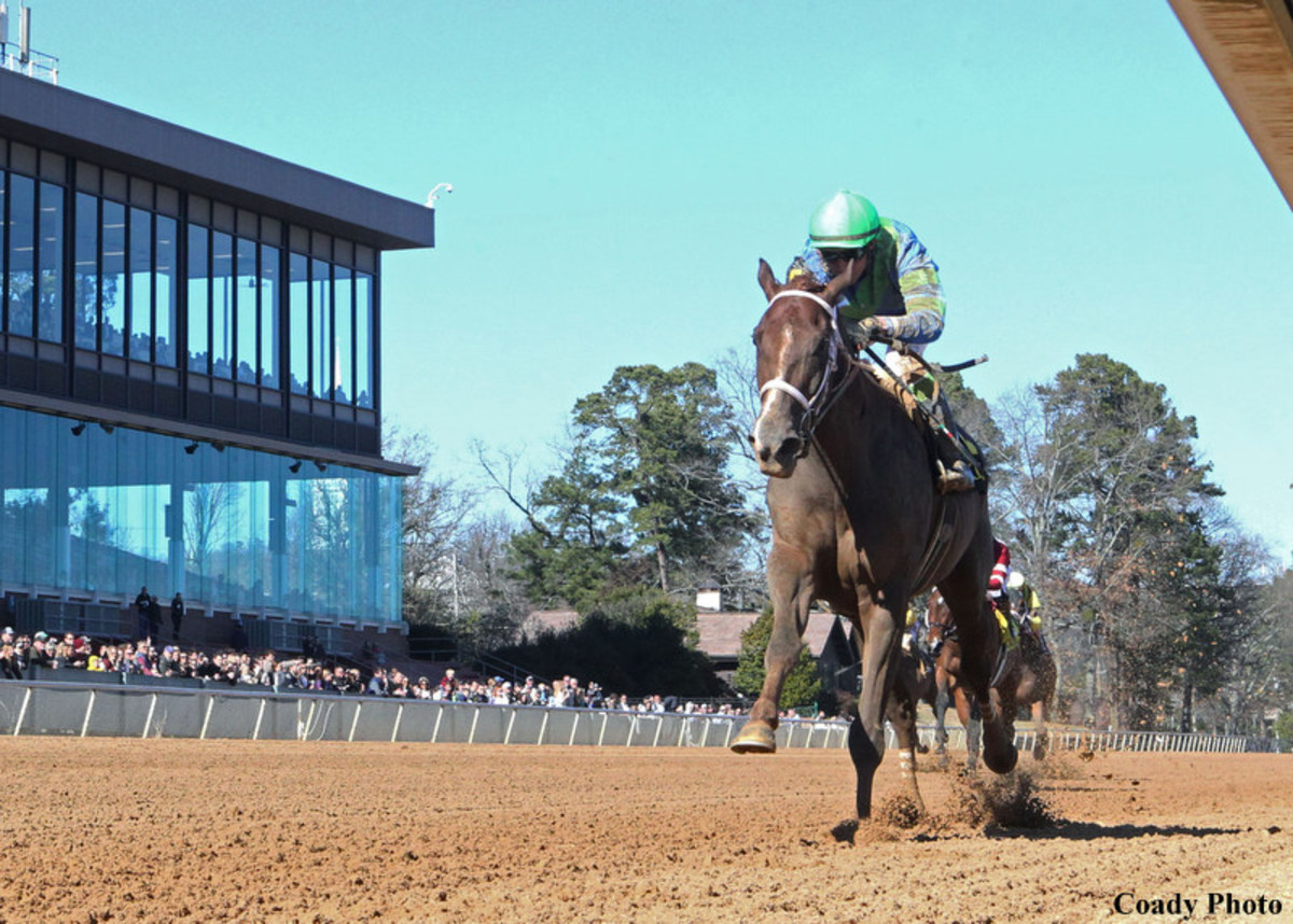 Breeders' Cup Presents Connections: Mitchells 'Happy To Take The Ride ...