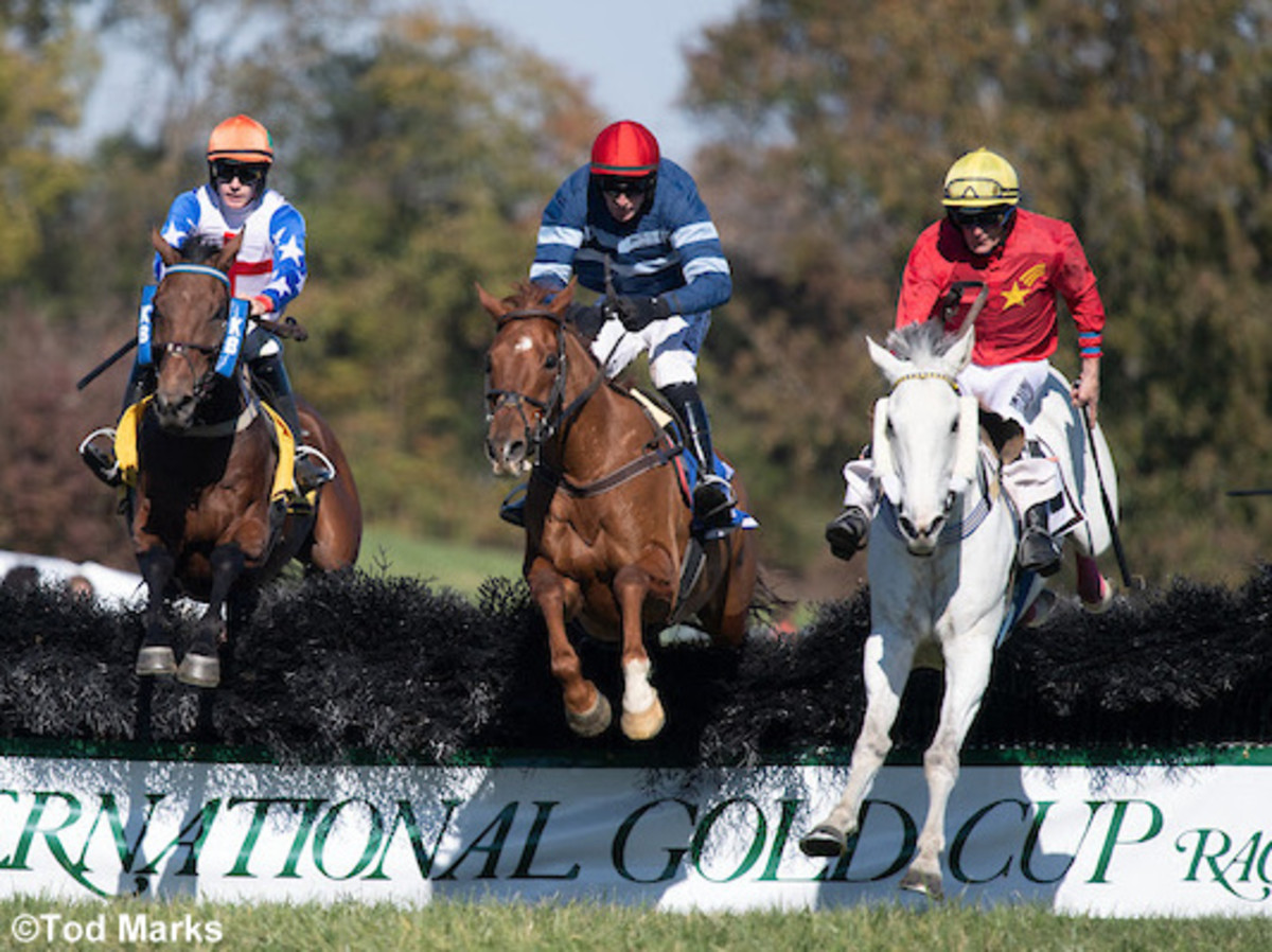 NSA: Heroics By Andi'amu, Down Royal Made It Gold Cup Day To Remember ...