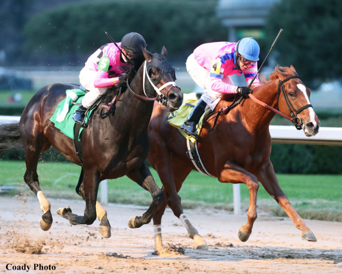 Maiden Winner Call Me Jamal Bringing Veteran Trainer Puhich To ...