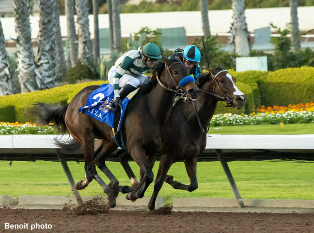 Faiza Goes From Debut Winner To Grade 1 Victress After Starlet Stretch ...