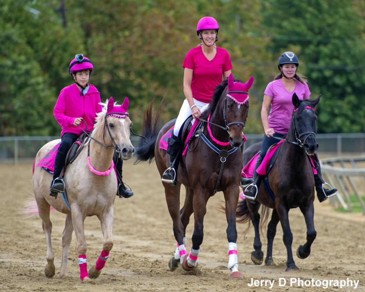Canter For A Cause Returning To Pimlico On Oct. 29 - Paulick Report ...