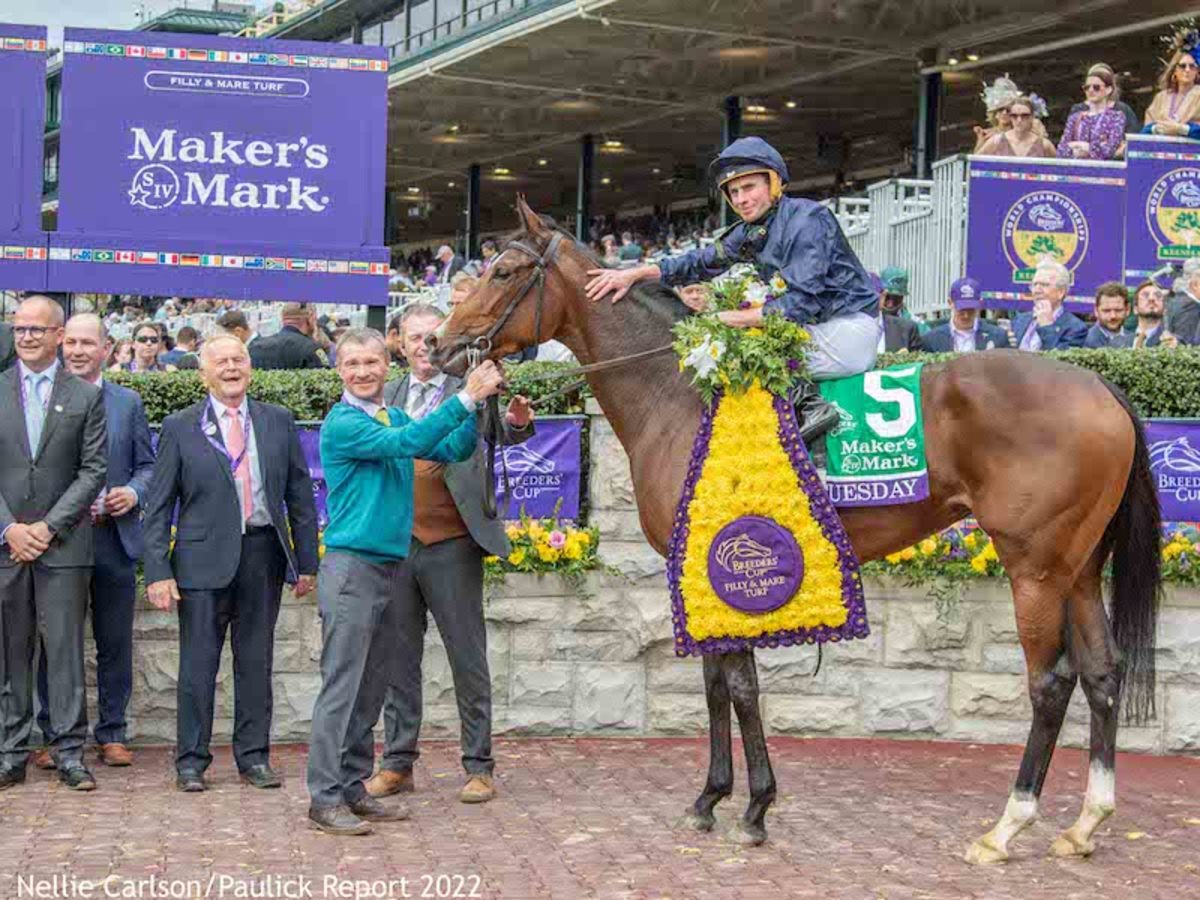 Ryan Moore Wins Second Bill Shoemaker Award - Paulick Report | Latest ...