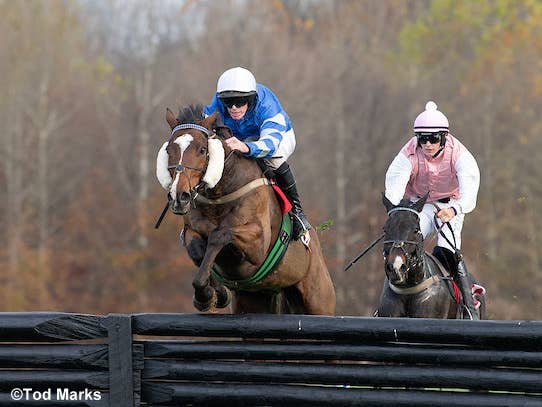 Old Warrior Prevails: 13-Year-Old Timber Star Mystic Strike Captures ...