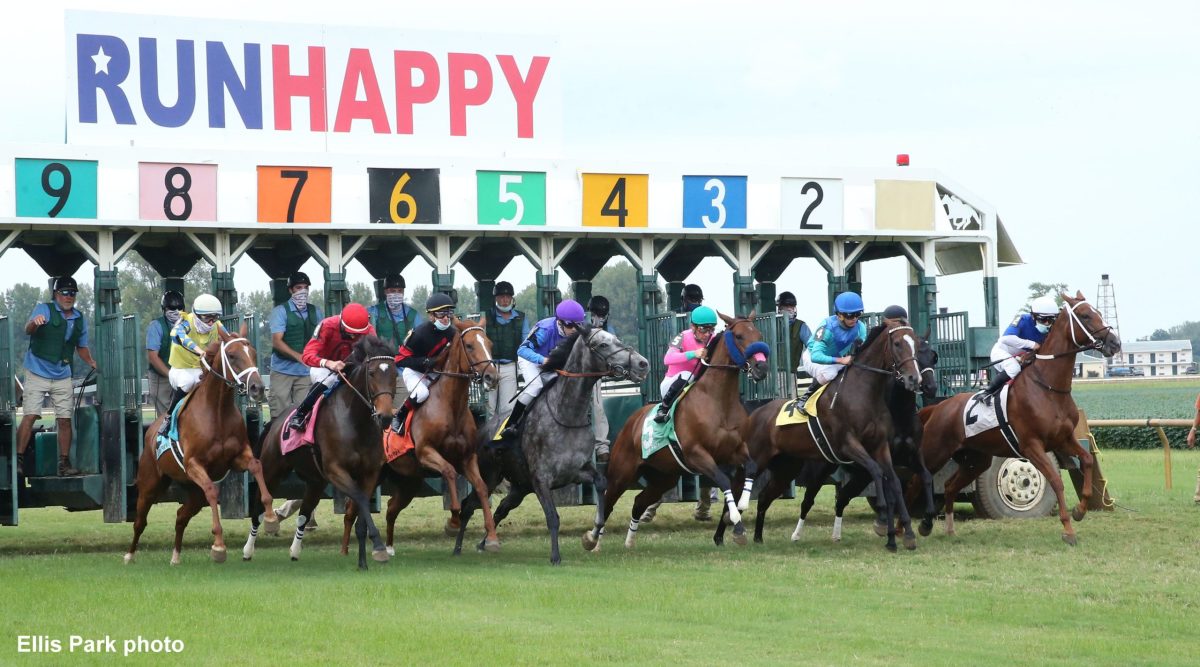 Runhappy Named Title Sponsor For Ellis Park's 100th Season - Paulick ...
