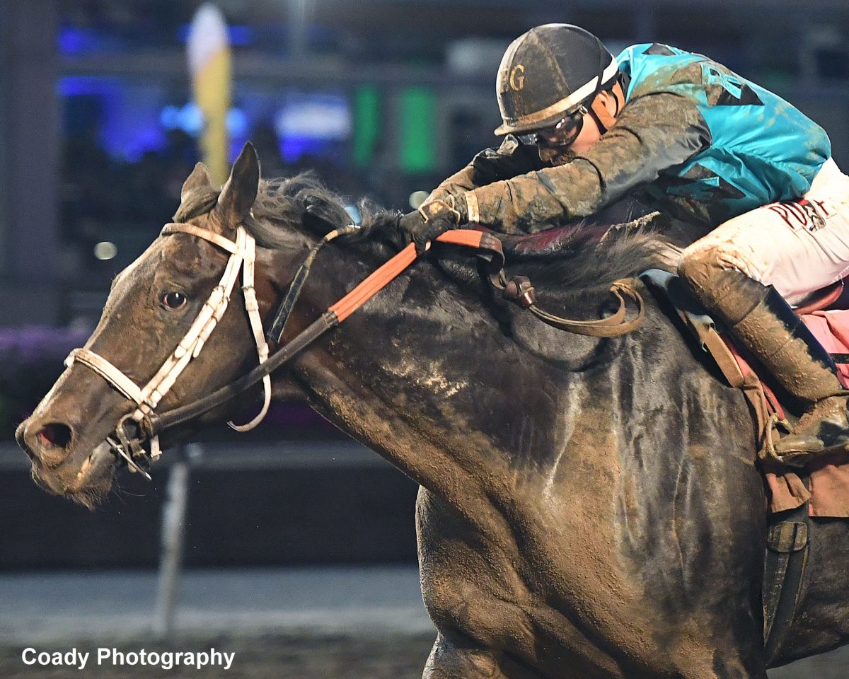 Iowa Festival Of Racing On Friday, Saturday Features Derby, Oaks ...