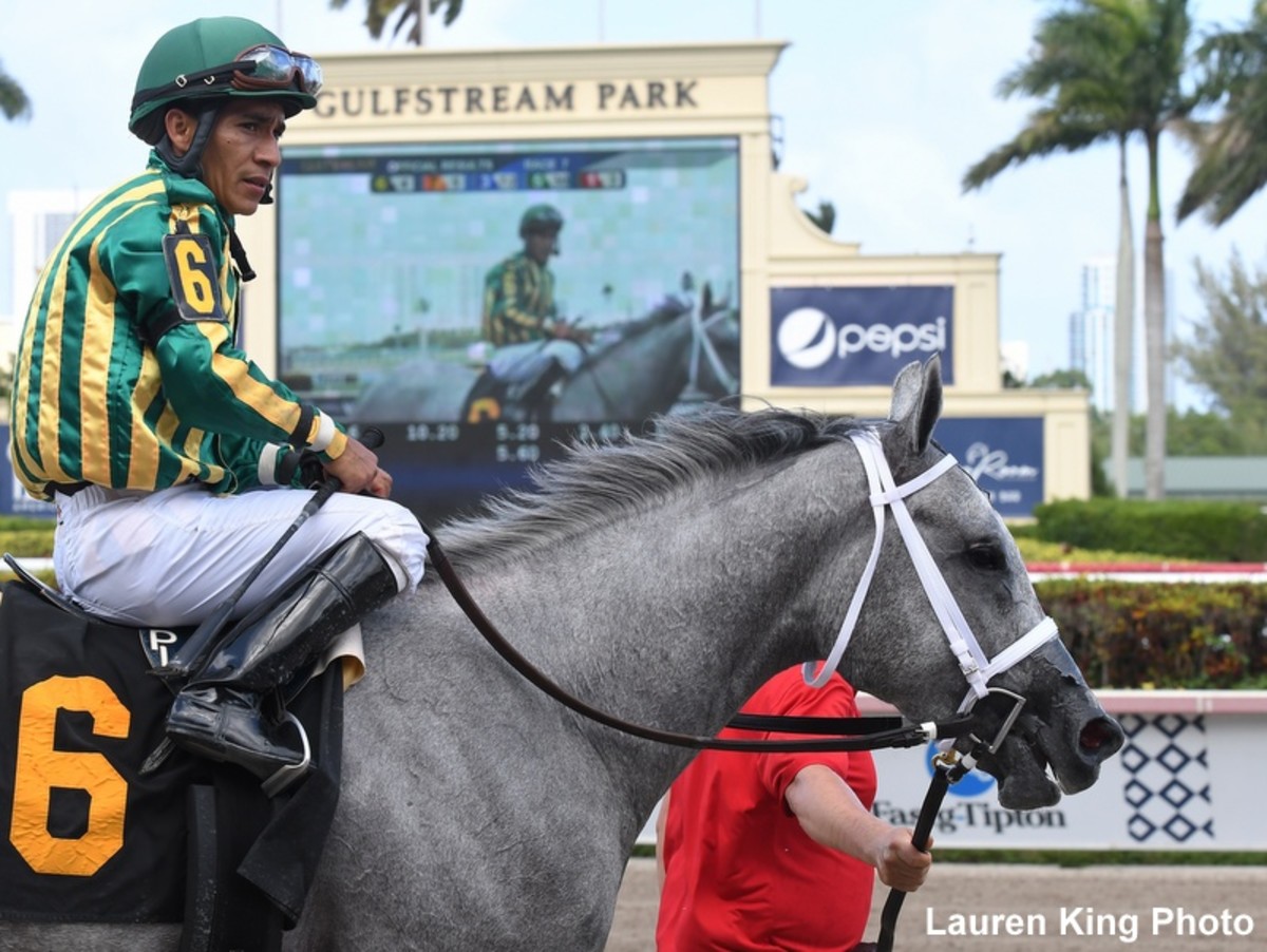 Paco Lopez Makes Successful Return To Gulfstream After Clasico Del ...