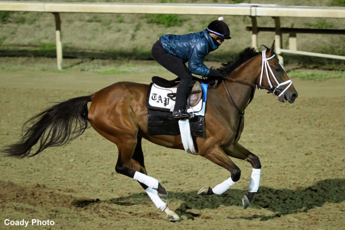 Champion Malathaat Will Make 2022 Debut In Friday's Doubledogdare At ...