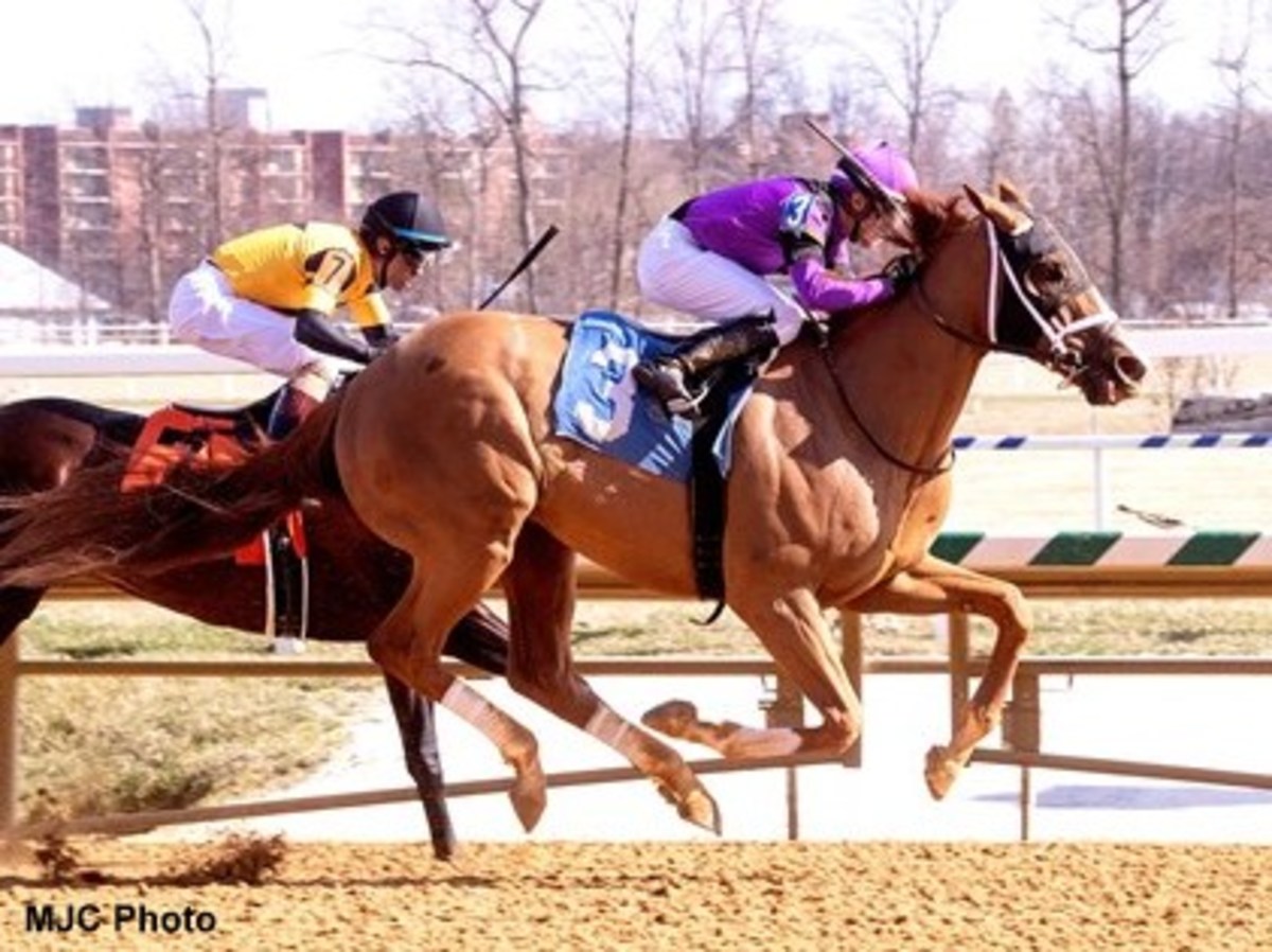 ‘Going To Be Sad To See Him Gone:’ 13-Time Stakes Winner ...