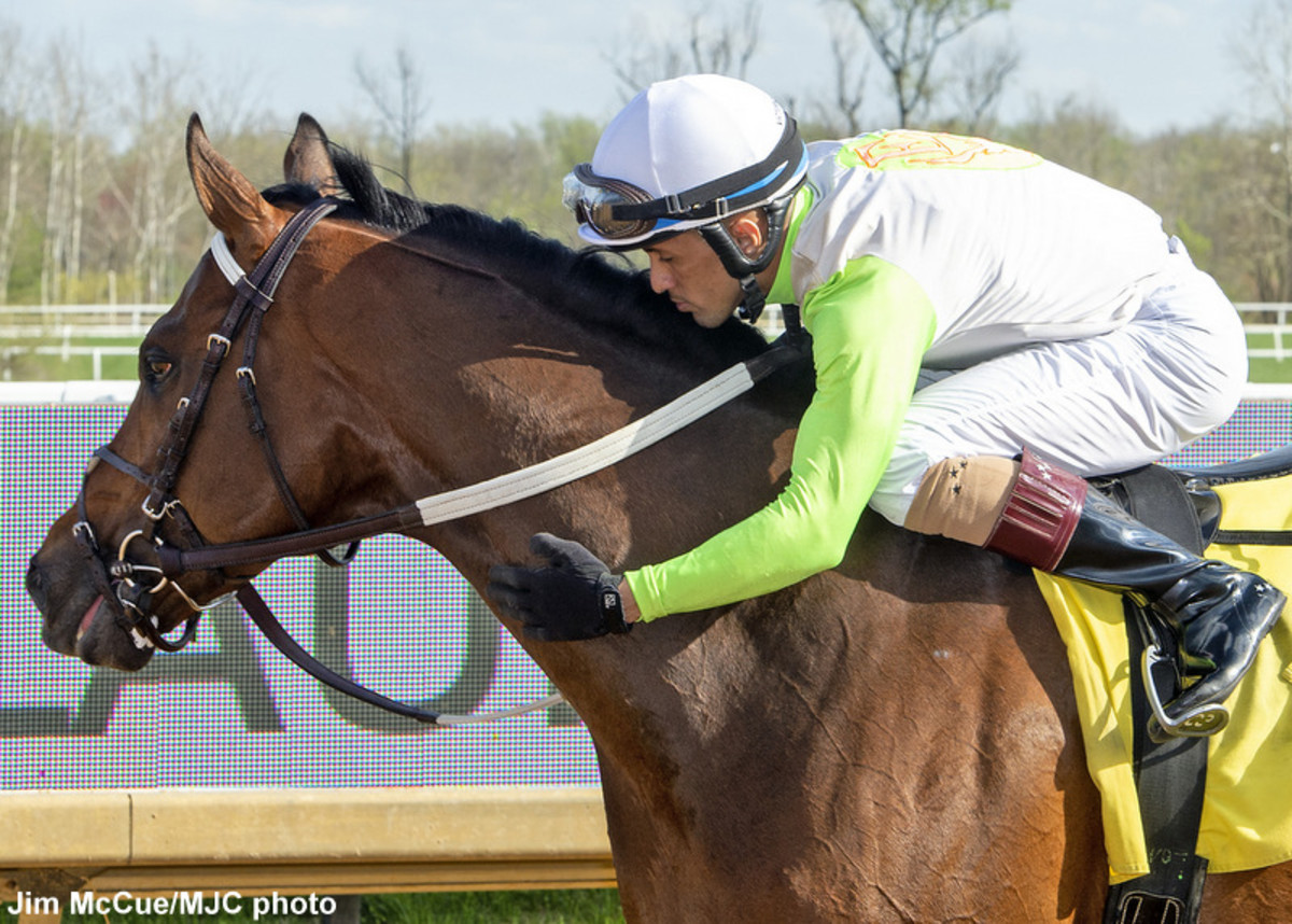 Connections Hope 'The Old Joe' Returns In Friday Stakes At Laurel ...