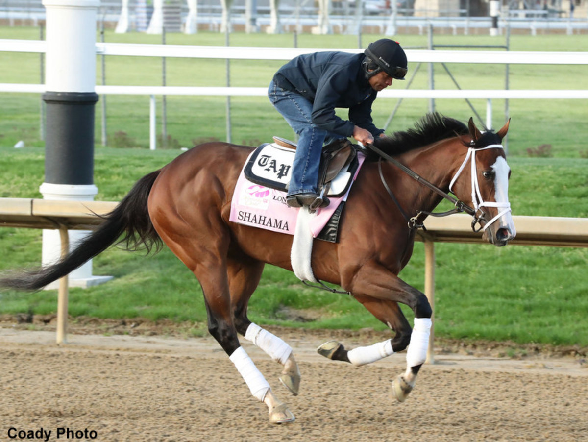 Kentucky Oaks Starters Shahama, Venti Valentine Regroup In Saturday's ...