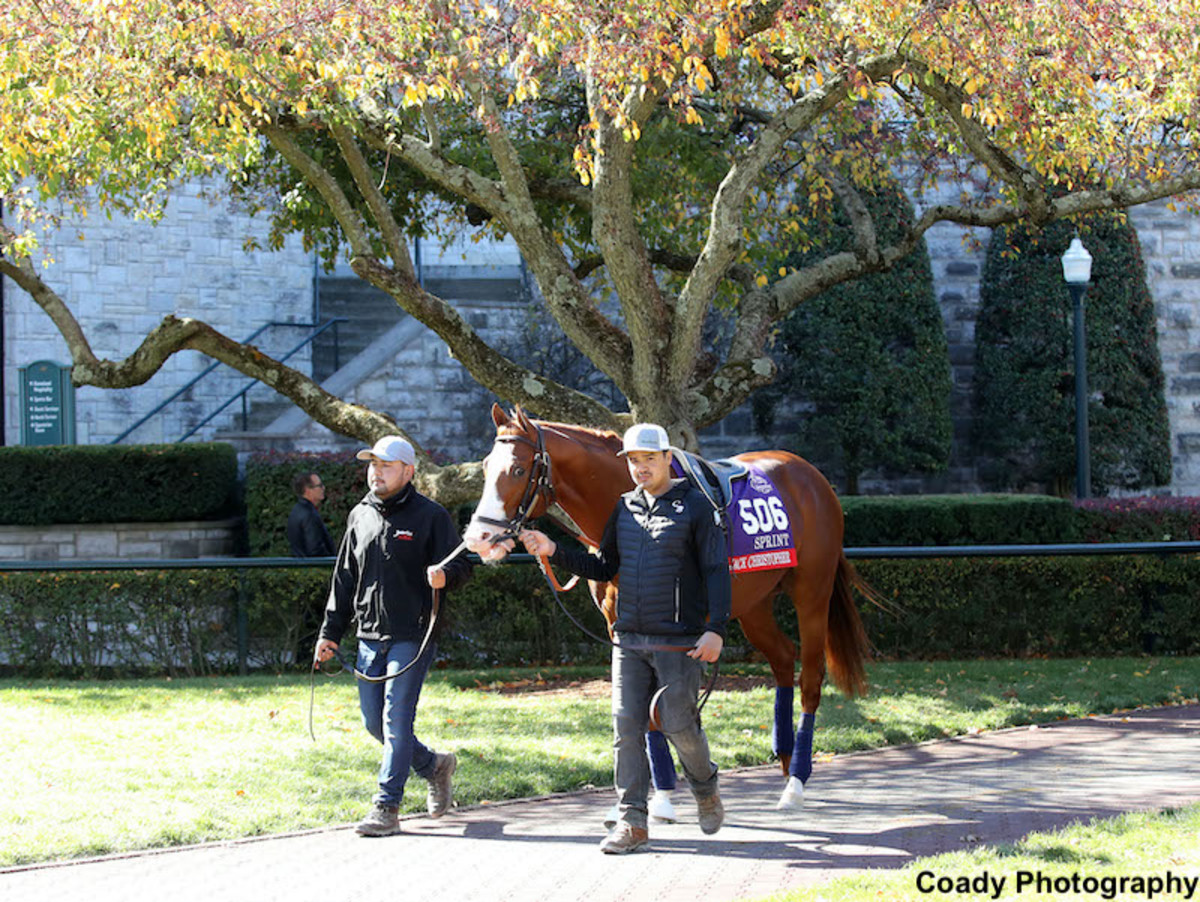Breeders' Cup Presents The News Minute: Last-Minute Changes Before Post ...