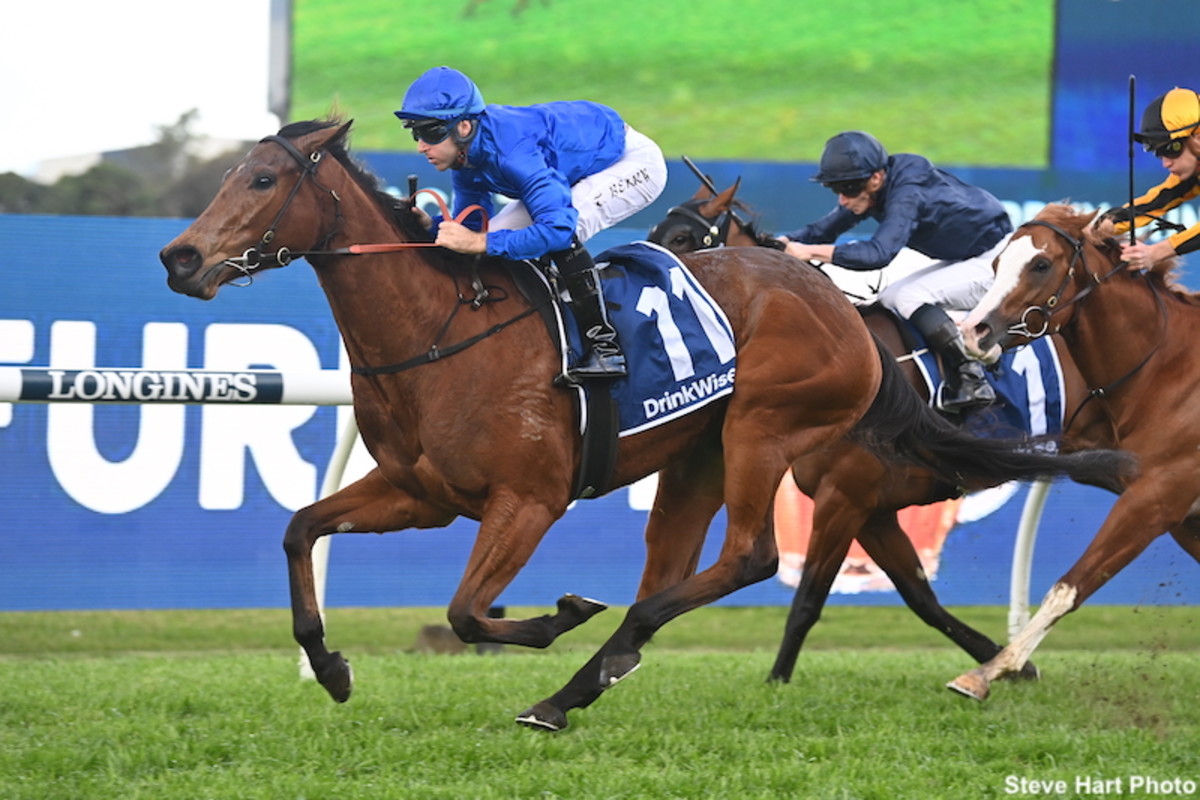 Australia: A Golden Rose For Godolphin? - Paulick Report | Latest news ...