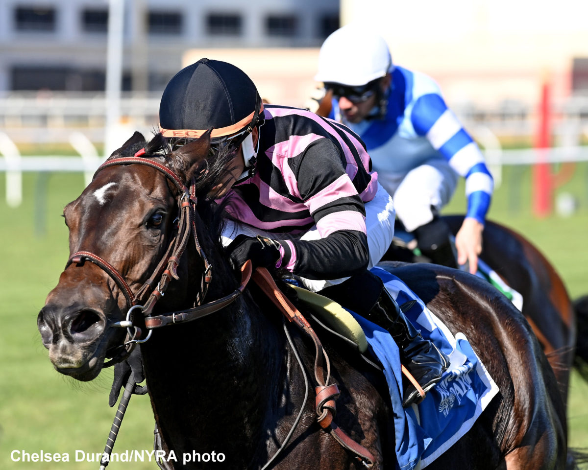 Evvie Jets To Seek First Win Of Comeback In Just A Game - Paulick ...