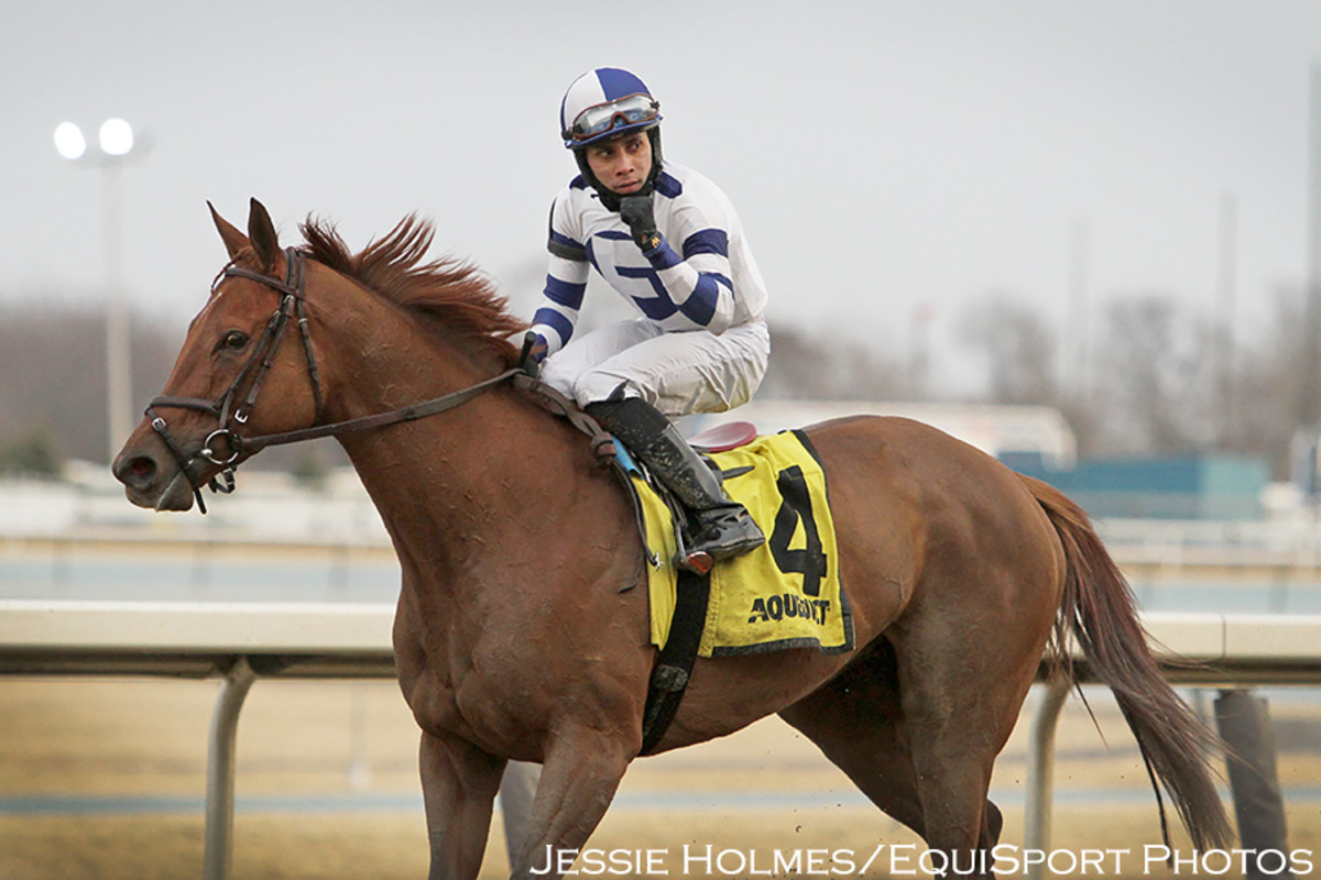 Venti Valentine Continues Along Road To Kentucky Oaks In Aqueduct's ...